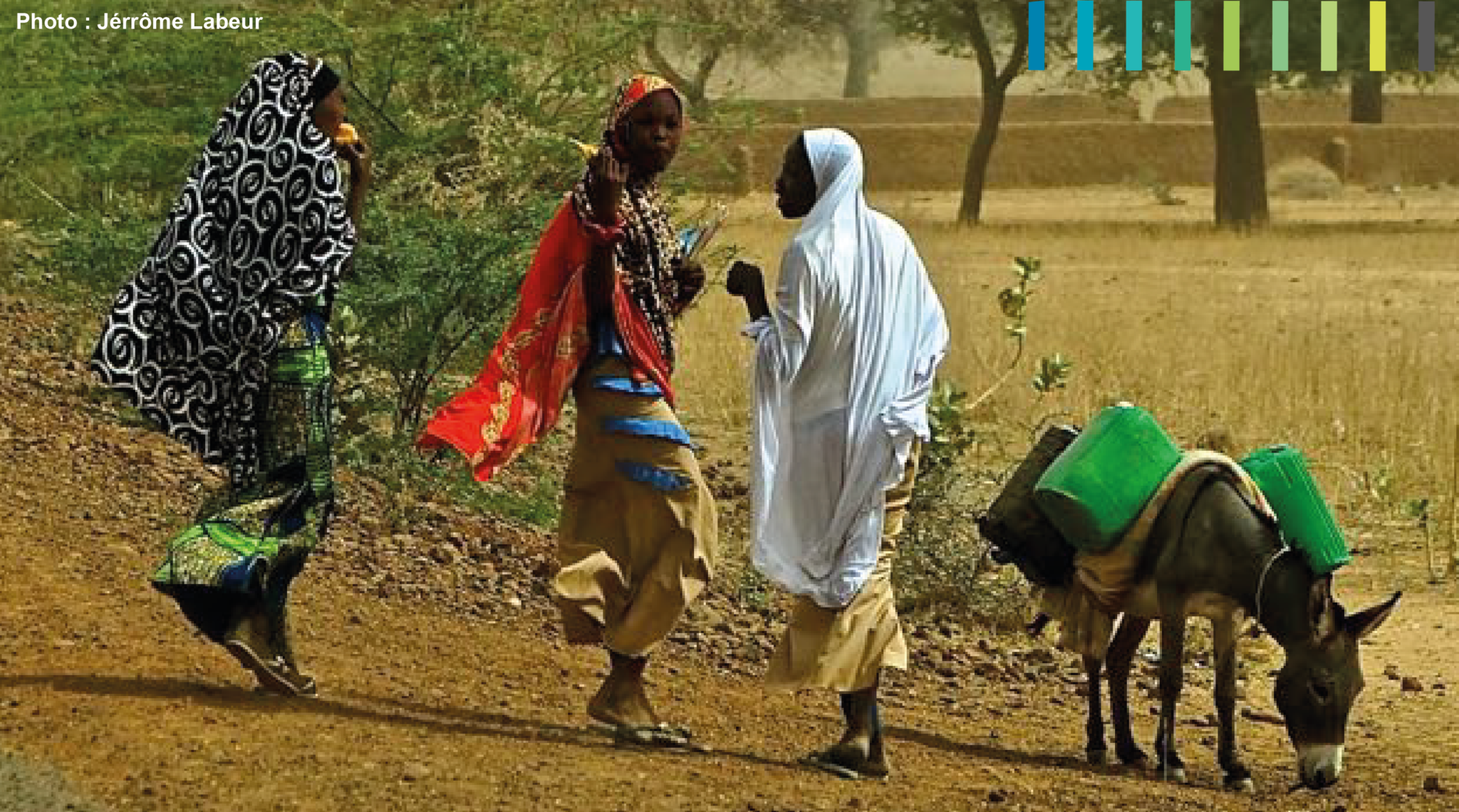 PNIN – Plateforme Nationale information pour la Nutrition